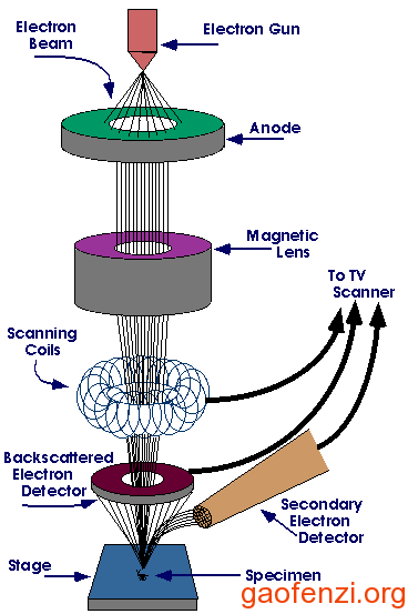 扫描电镜SEM原理及在高分子中的应用 – 高分子网
